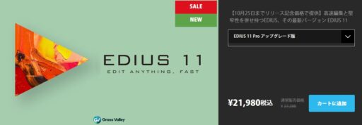 フラッシュバックジャパン